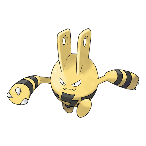 Elekid – Pokemon #0239 – Pokédex – Pokémon-GO.Name