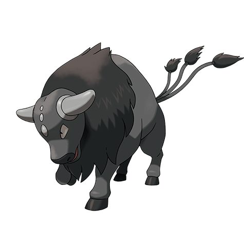 Палдейские формы Покемонов в Покемон ГО - Paldea Form Pokemon