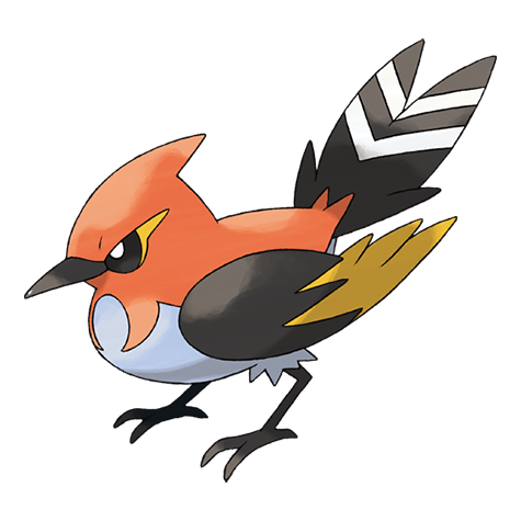 Fletchinder — Pokemon #0662 в Покедекс - Pokémon-GO.Name