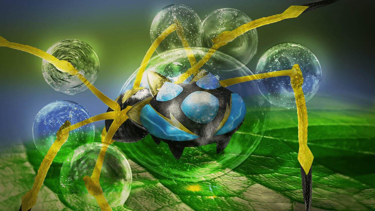 Dewpider Spotlight Hour - Pokémon-GO.Name - Events and Pokédex